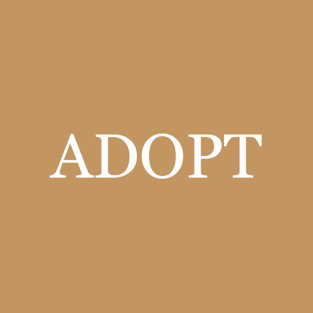 Team Kitten - Nonprofit foster-based rescue and adoptions in Topeka, Kansas