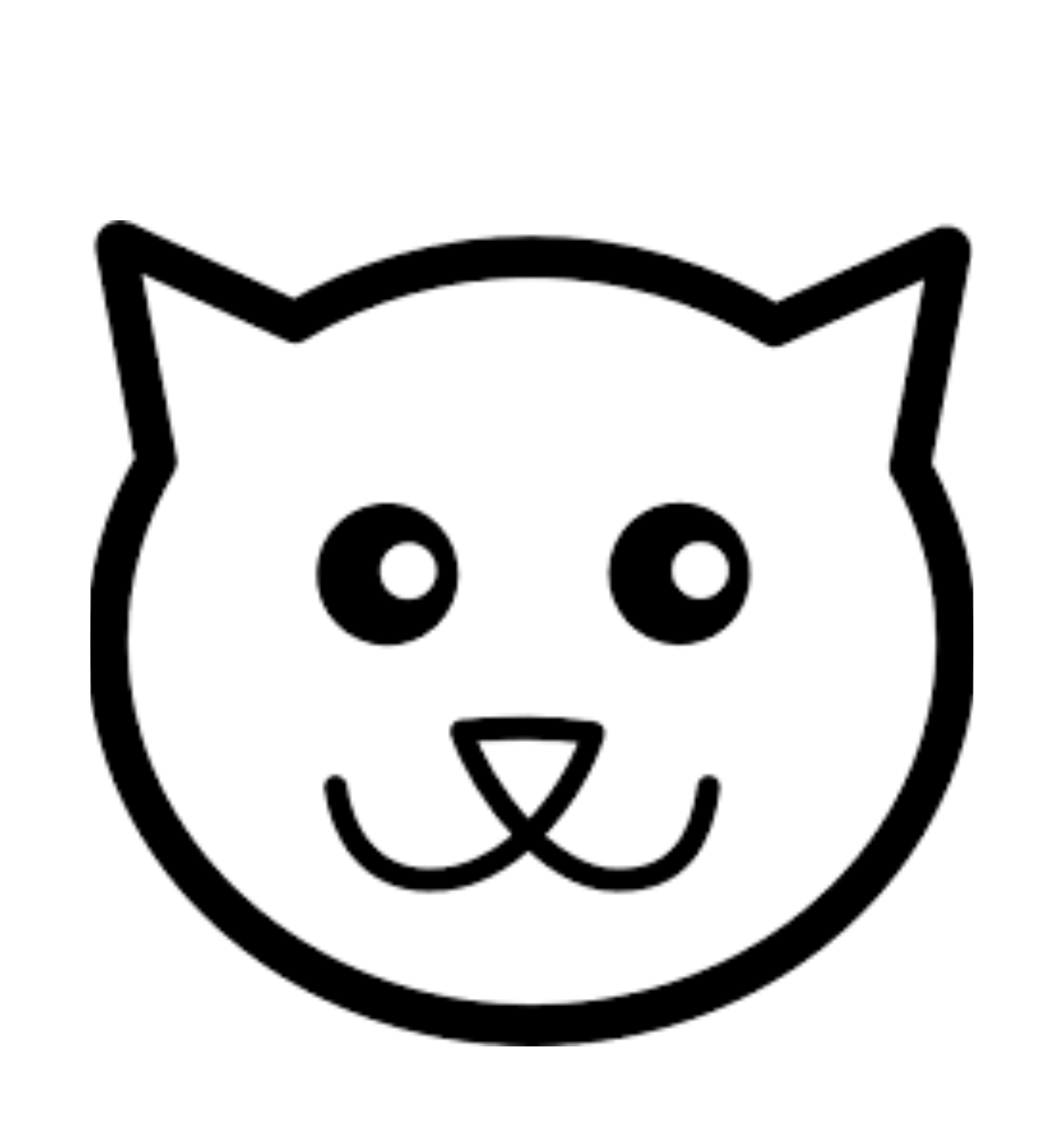 Team Kitten - Nonprofit foster-based rescue in Topeka, Kansas