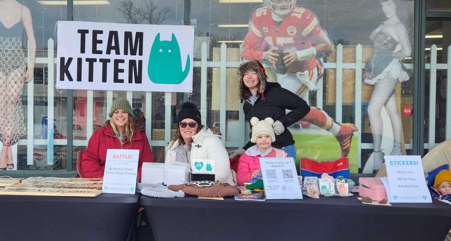 Volunteer - Team Kitten